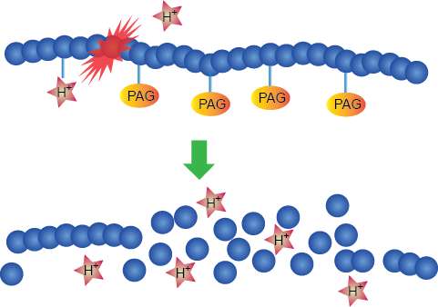 Ober Research Group | Research